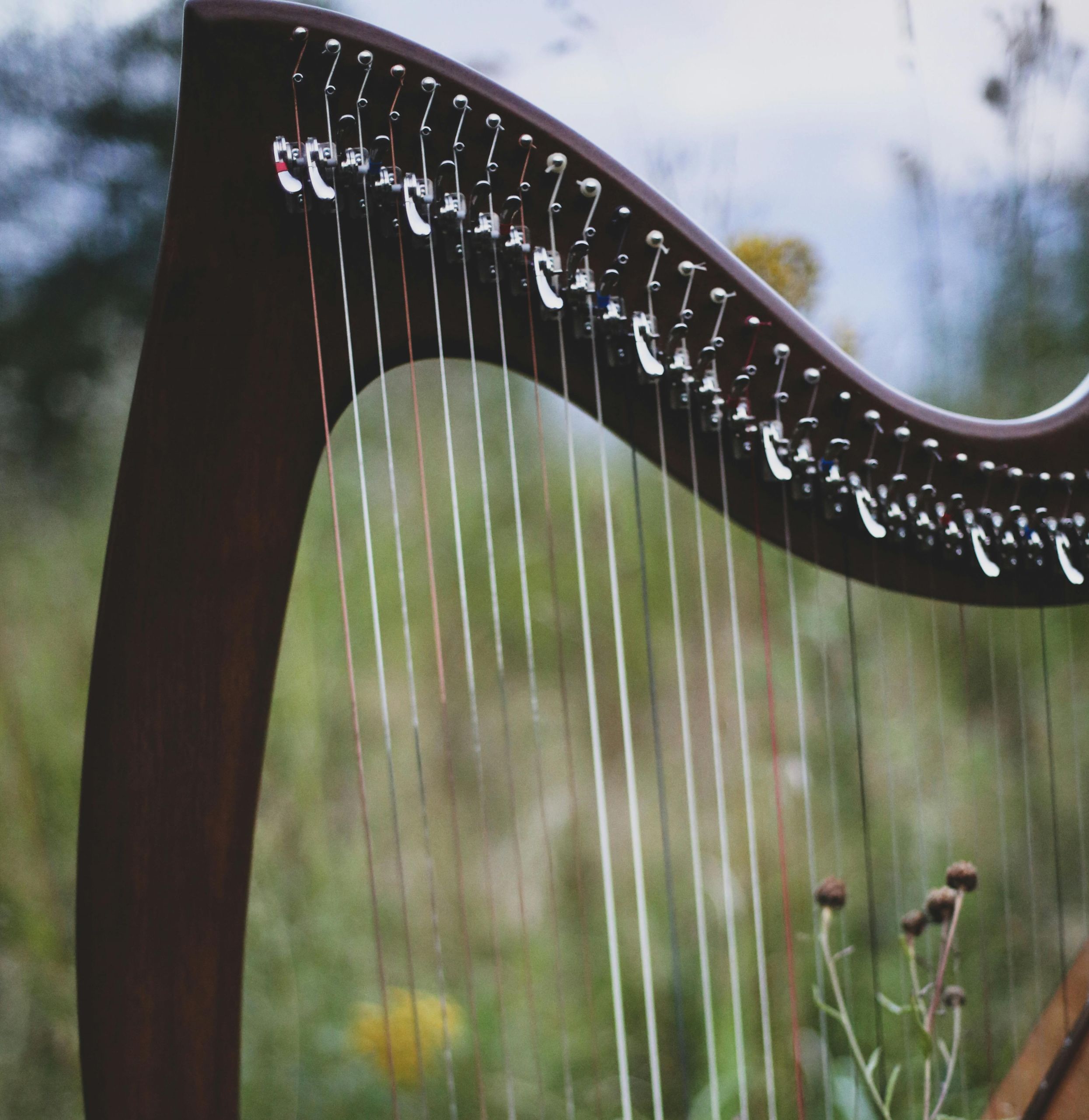 Artisan Harpe à votre service - L'Unisson